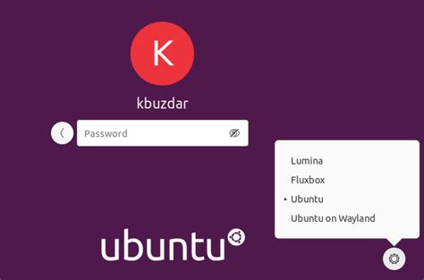 How To Install Lumina Desktop On Ubuntu 20 04 VITUX