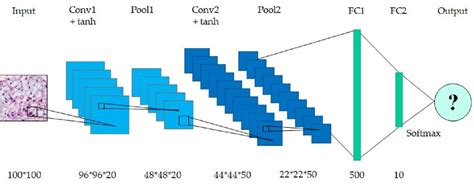 Architecture Of Our Deep Cnn Configuration For Glioma Histopathology Download Scientific