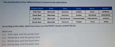 Solved The Classification Of Four Different Bears Is Shown In The