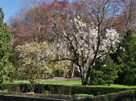 180 Fotos Bilder Und Lizenzfreie Bilder Zu Hamburger Stadtpark Fotos