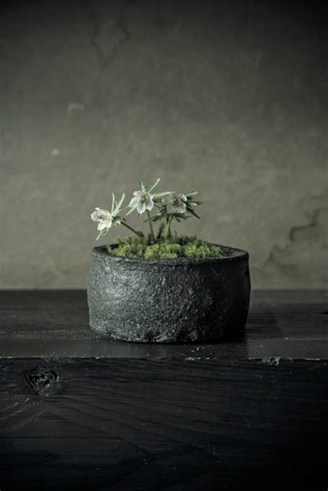 春告げる植え込みの節分草花屋みたての折々に見立てる京の暮らし Vol 44 花屋みたての折々に見立てる京の暮らし