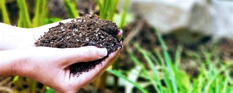 The Biochar Fertilizer Market Up To Us 7 969 50 Million Surge In Biochar Fertilizer Market By