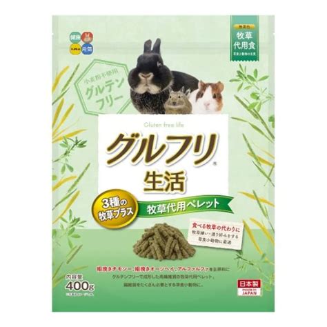 Hong Kong Bunny Rescue Online Store 香港救兔之家網上商店