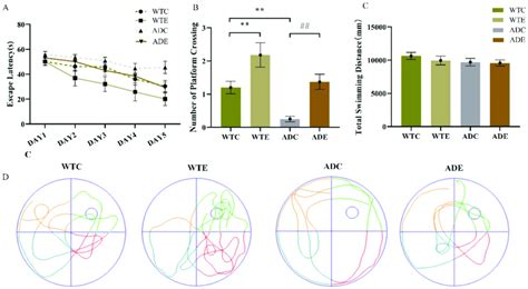 Effect Of Treadmill Exercise On Spatial Learning And Memory In Mice Download Scientific