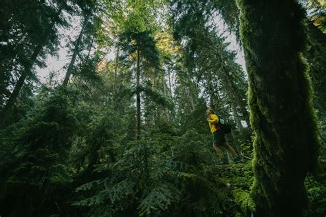 National Parks Of Georgia საქართველოს ეროვნული პარკები Home Facebook