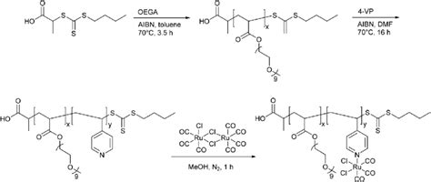 Structure Of The Diblock Copolymer P Oega B P 4vp Corm 2 Synthesized Download Scientific