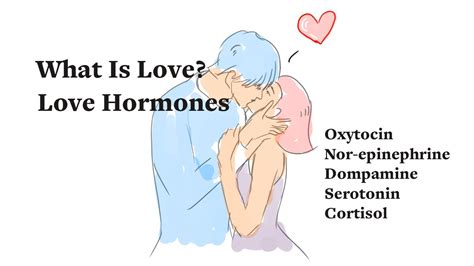 Oxytocin Hormone Love