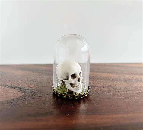 Tiny Skull Diorama Glass Dome Skull Diorama Day Of The Dead
