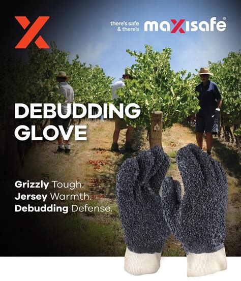 Maxisafe Safety Gear On Linkedin Maxisafe Safetyfirst