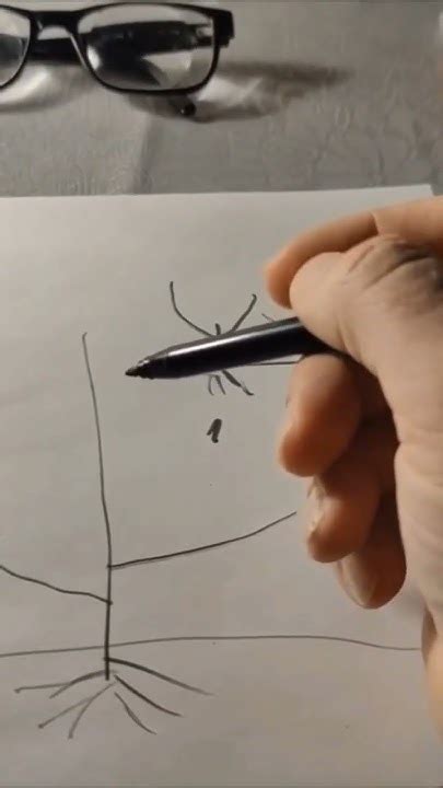 как правильно формировать крону молодых деревьев яблони и груши Youtube