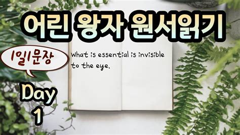 영어원서읽기어린왕자 영어 1일1영어문장 1 영어문법도 함께 배우며 하루에 영어문장 딱 하나라도 우리 함께 제대로 외워보아요 책 내용의 순서와는 무관함 Youtube