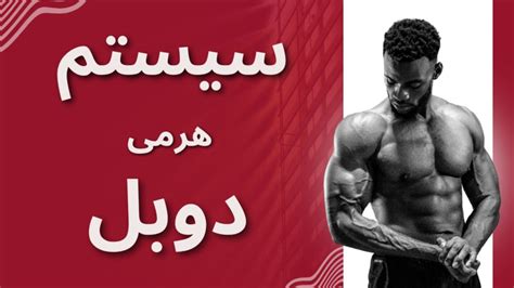 سیستم هرمی دوبل
