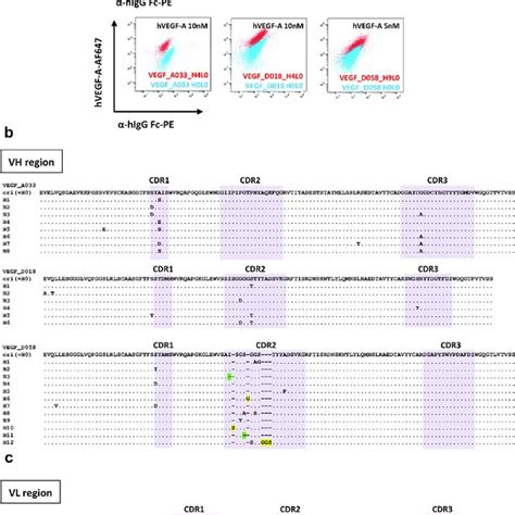 Affinity Maturation Against The Model Human Antibodies Using Adlib