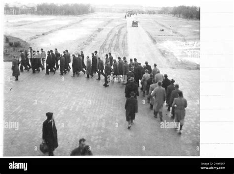 Vught Internment Camp Internees Arriving In Army Lorries British