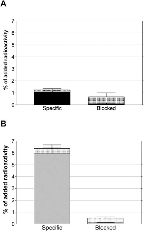 Percentage Of Cell Associated Vs Total Added Radioactivity Comprising Download Scientific