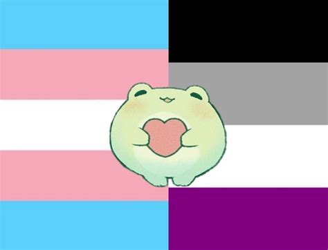 Foto De Perfil De Rana Con La Bandera Trans Y Asexual Ace Flag Trans