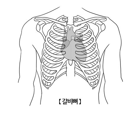 인체정보 의료정보 건강정보 서울아산병원