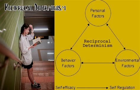 Reciprocal Determinism Theory An Overview Study Reciprocal Determinism Theory An Overview Study