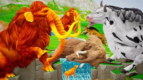 Mammoth Elephant Vs 5 Giant Bulls Fight Woolly Mammoth Save Elephant