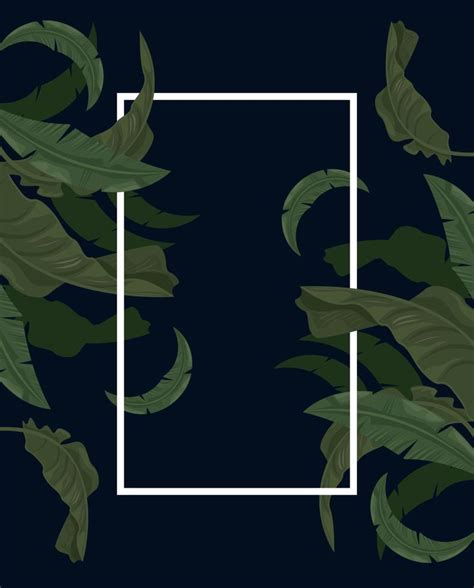 Tropical Leaves In Rectangular Frame 10528090 Vector Art At Vecteezy