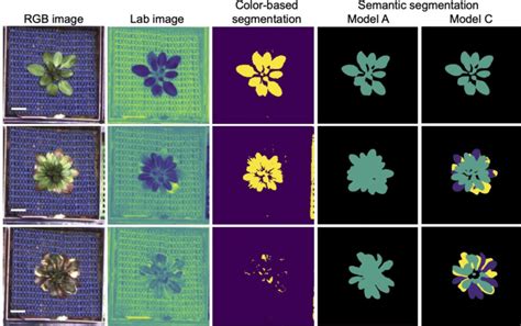Performance Of Color Based Vs Semantic Segmentation The Left Most Download Scientific Diagram