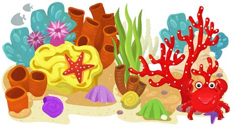 아이들을 위한 산호초 정원 격리 요소 삽화가 있는 만화 장면 갑각류에 대한 스톡 벡터 아트 및 기타 이미지 갑각류 거북이 게 Istock