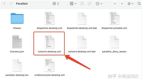 成功安装parallels Desktop 19 的用户，期间遇到的问题与解决办法！ Csdn博客