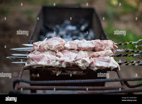 Pork Shish Kebab Is Fried On Skewers On A Homemade Grill Shallow