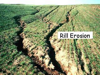 Rain And Erosion Science Projects