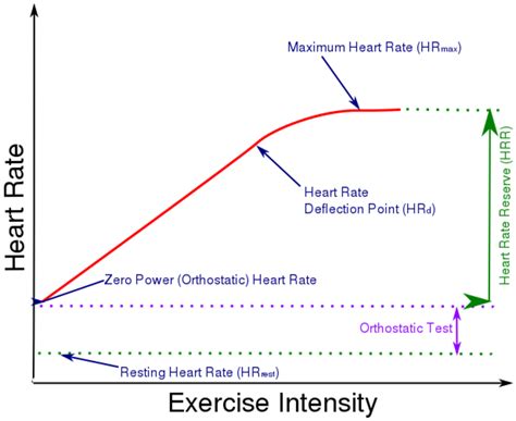 Heart Rate Deflection Running Tips