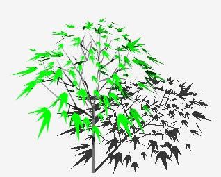 Sugar Maple Tree 3D DWG Model For AutoCAD Designs CAD
