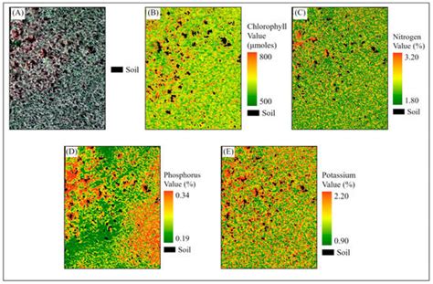 Mapping Spatial Variability Of Sugarcane Foliar Nitrogen Phosphorus Potassium And Chlorophyll