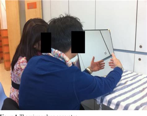 Figure 1 From The Effect Of Mirror Visual Feedback On Spatial Neglect For Patients After Stroke