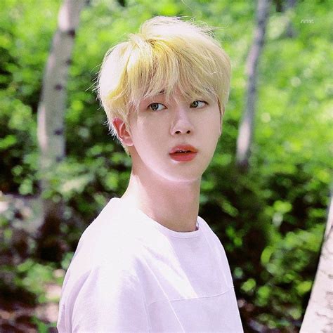 Which Hair Color Looks Best On Btss Jin Allkpop