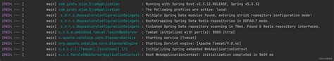 Spring Boot 修复 Spring Framework Url解析不当漏洞（cve 2024 22243） Csdn博客