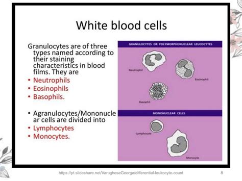 Hitung Jenis Leukosit Dalam Darah Pada Tubuh PDF