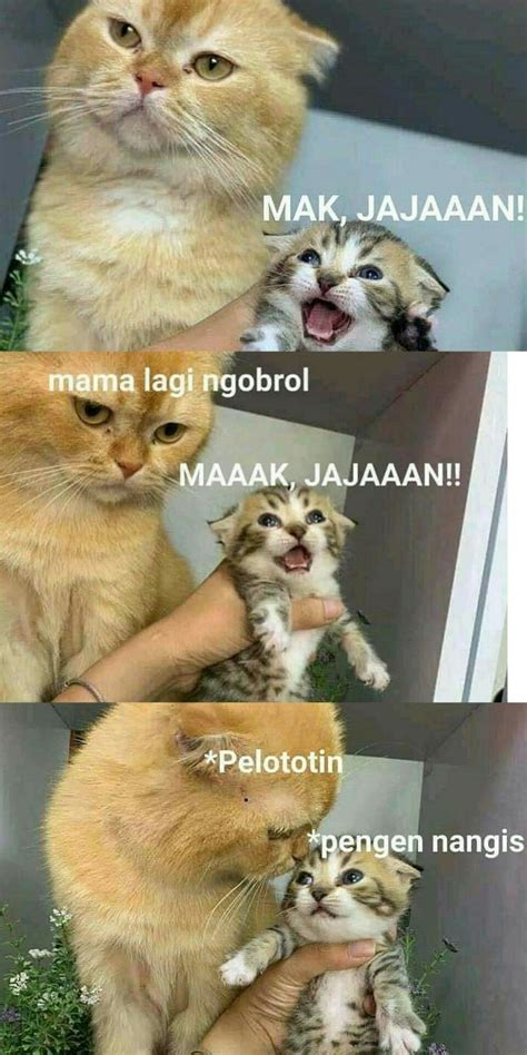 Pin Oleh Alya Mukbhita Di Dsgz Humor Hewan Lucu Humor Hewan Hewan