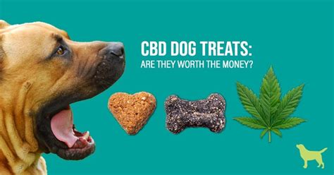 Cbd Dog Treats For Joint Pain Mobility 300mg By Penelopes Bloom