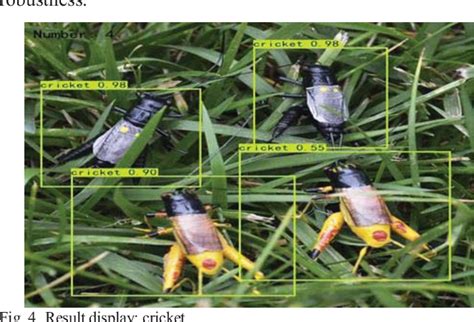 figure 4 from insect detection and counting based on yolov3 model