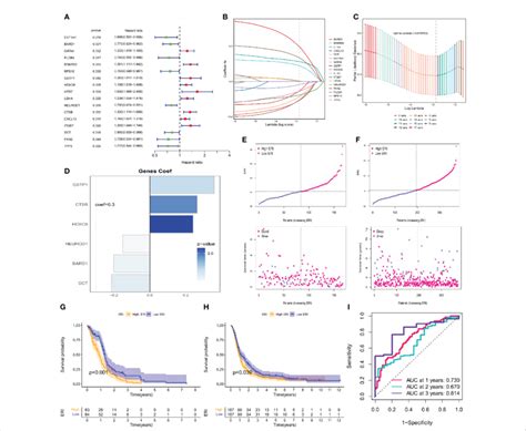 Calculation Of Exosome Related Index And Construction Of The Prognostic Download Scientific