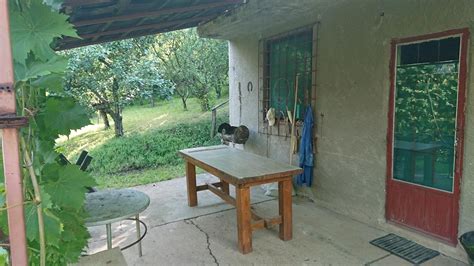 Vikendica Na 6 Km Od Novog Sada Novi Sad