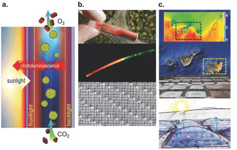 Conceptual Approaches For Implementing Extrinsic Spectral Conversion