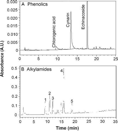 Phytochemical Profile Of Echinacea Angustifolia A Hplc Dad