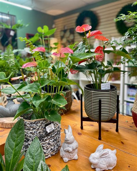 Blackhawk Hardware Added A New Photo Blackhawk Hardware