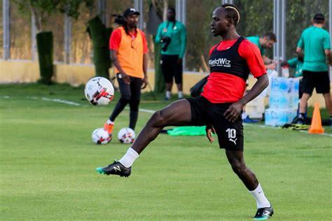 En images Revivez La Séance d entrainement du jour des Lions du