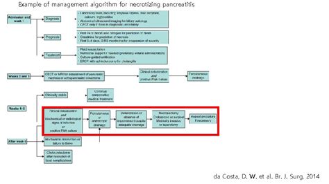 Current Managements Of Infected Necrotizing Pancreatitis Clinical Courses