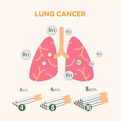 Cradtec Radon Detector Iii Cradtec