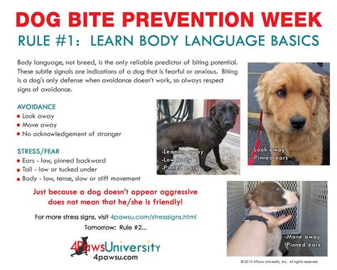 Behavior And Training My Dog Has Bitingaggressive Problems Etc What