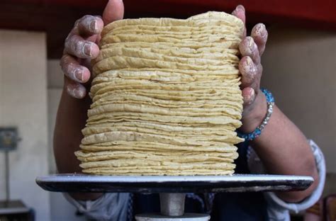 Kilo De Tortilla Cuesta 31 Pesos En Estos Estados ¿cuál Es Su Precio