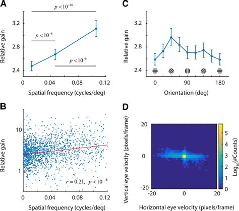 Relative Gain Depends On Preferred Spatial Frequency And Orientation
